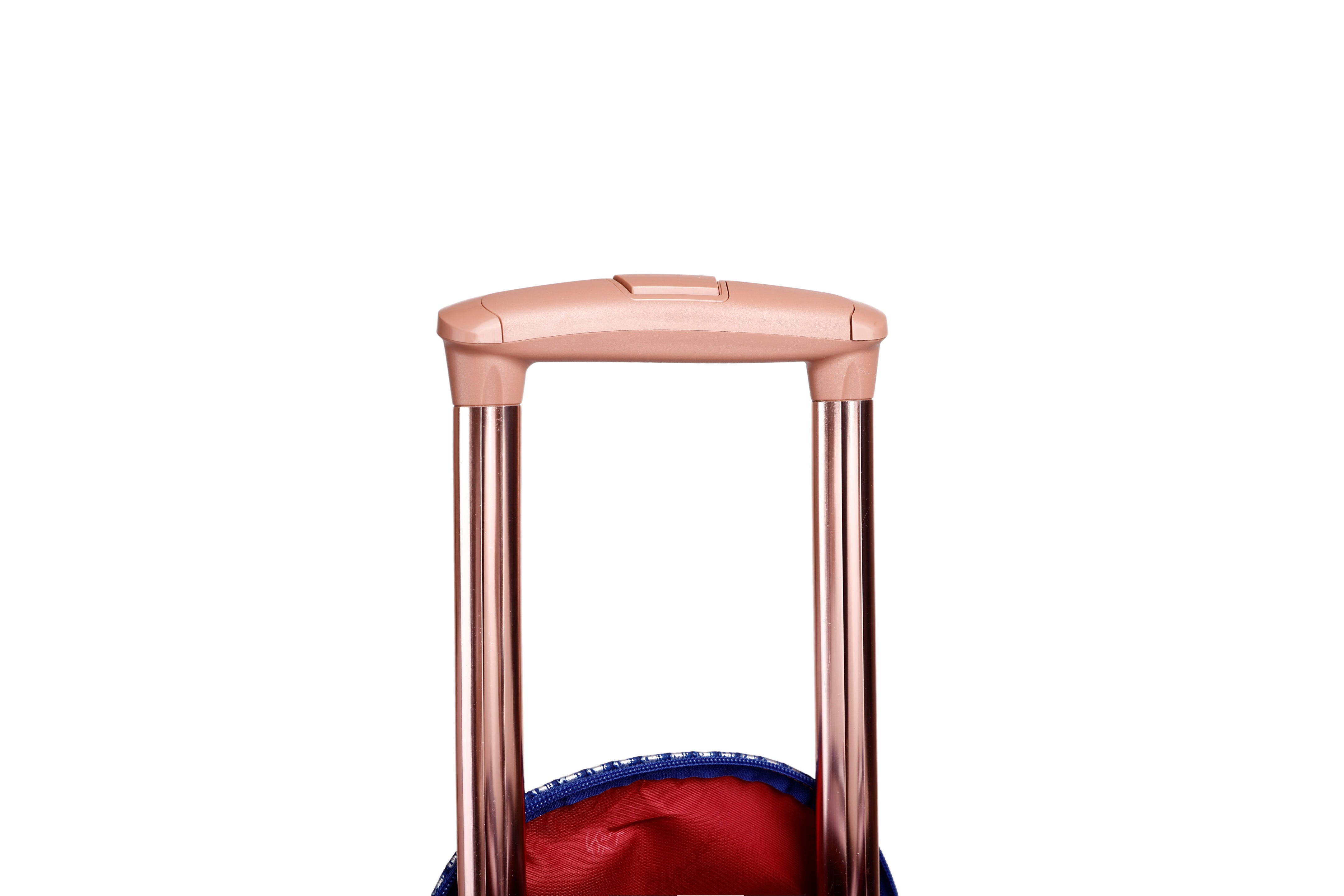 Arosa Elegant Two-Piece Travel Bag Set